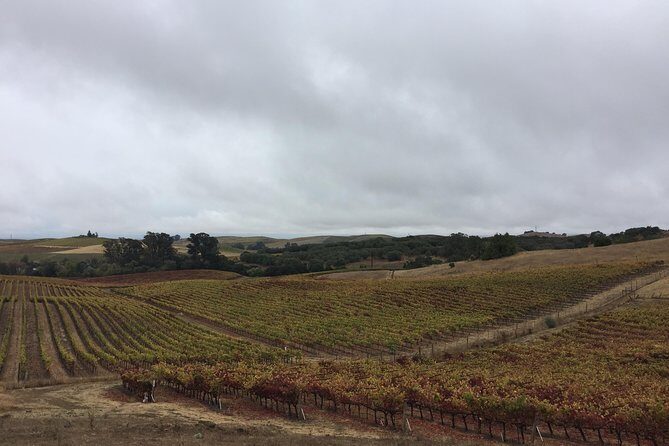 6-Hour Private Limousine Wine Country Tour of Napa or Sonoma - The Limousine: A Key to the Experience