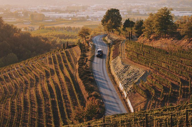 6-hour Private Luxury SUV Wine Tour in Napa Or Sonoma Valley - FAQs