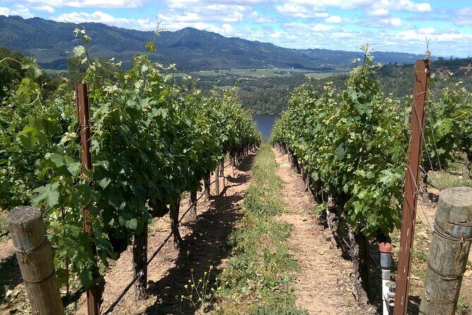 6-Hour Private Napa Limousine Wine Tour (Style & Wine) - Authentic Experiences and Honest Feedback