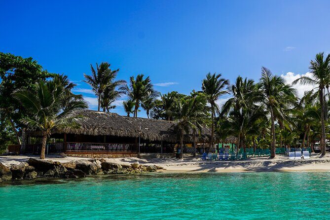 6 Hour Private Saona Island Tour with Snorkeling - Practical Aspects to Keep in Mind