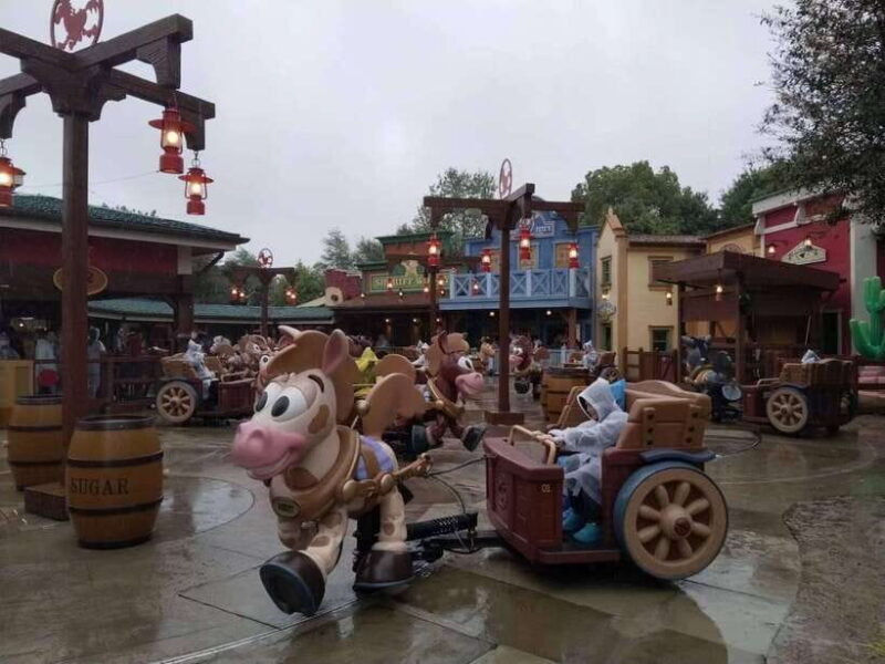 6 hour private tour in Disneyland - Key Points