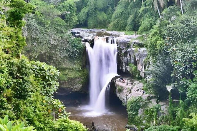 6 Hour Private Tour in Ubud - Exploring the Heart of Bali: What You Can Expect