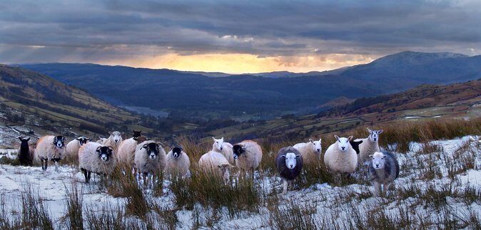 6 hour Private tour of the Lake District. - A Closer Look at the Itinerary and Experience