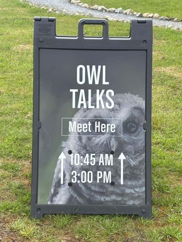 6 hour Private Tour of Vancouver & North Vancouver - The Sum Up