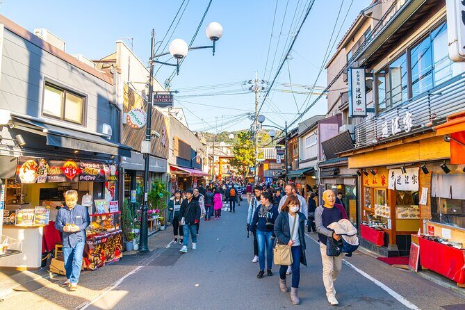 6-Hour Private Walking Cultural Tour in Kyoto - FAQ