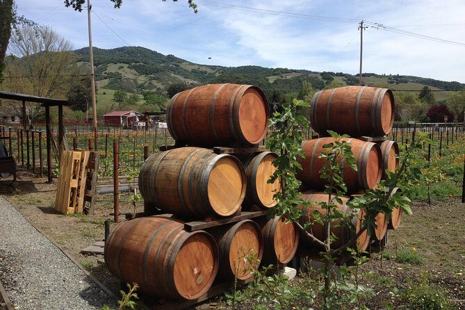 6-Hour Private Wine Country Tour of Napa in Crossover SUV (up to 6 people) - Why Choose a Private Napa Valley Tour?