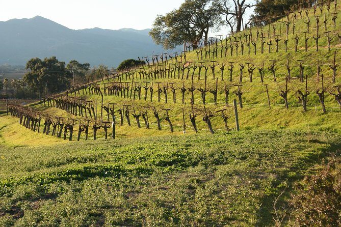 6-Hour Private Wine Country Tour of Napa in Crossover SUV (up to 6 people) - Authentic Experiences: Why Travelers Love This Tour
