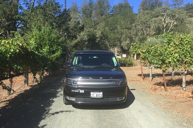 6-Hour Private Wine Country Tour of Napa in Crossover SUV (up to 6 people) - Who Is This Tour Best For?