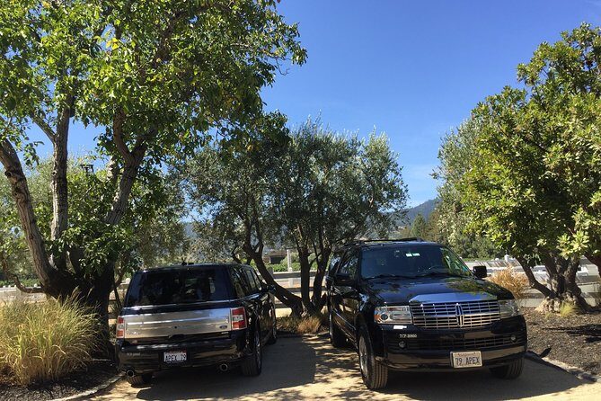 6-Hour Private Wine Country Tour of Napa Valley (up to 6 people) in Large SUV - The Practical Side: Pricing, Duration, and Organization