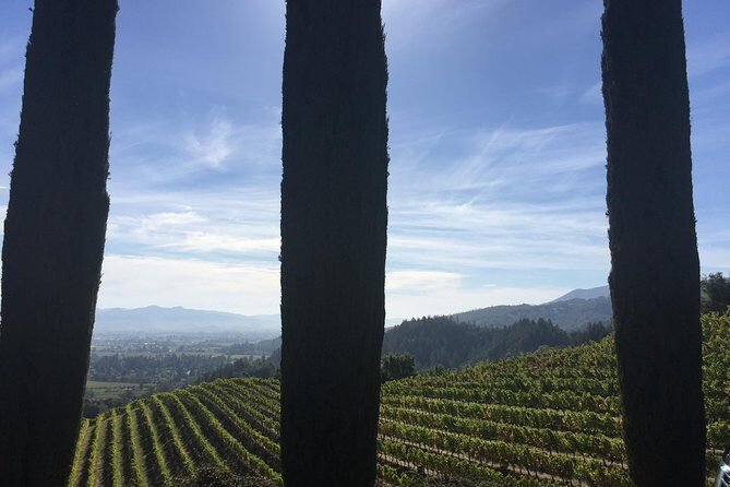 6-Hour Private Wine Country Tour of Napa Valley (up to 6 people) in Large SUV - Who Will Love This Tour?