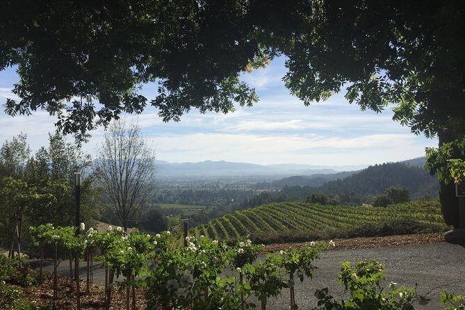 6-Hour Private Wine Country Tour of Napa Valley (up to 6 people) in Large SUV - FAQ