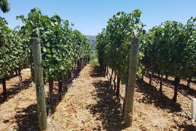 6 Hour Private Wine Country Tour (Sedan, SUV or Limo) - FAQs about the 6-Hour Private Wine Tour