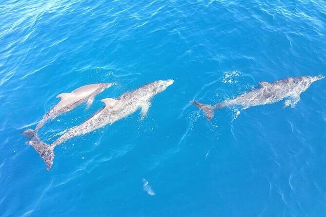 6-Hour Sailing Charter from Fort Lauderdale - Final Recommendation