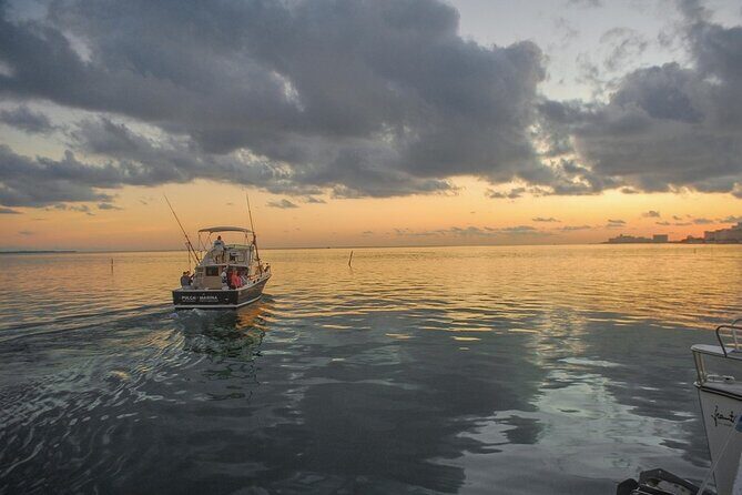 6-Hour Shared Fishing Tour - Authenticity and the Value of This Fishing Trip