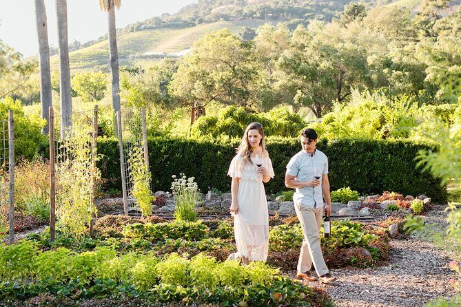 6 Hour Sonoma Boutique Wine Tour-Private Black Car,up to 6 Guests - A Practical Look at the 6 Hour Sonoma Boutique Wine Tour – Private Black Car for Up to 6 Guests