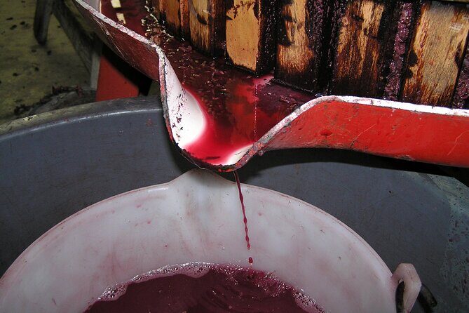 6 Hour Sonoma Pinot Noir and or Zinfandel Wine Tasting Tour - Who Should Book This Tour?