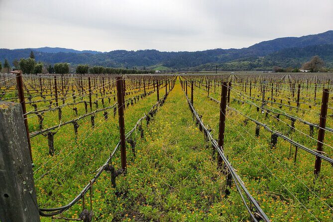 6-Hour Sparkling Wine Tour of Napa Valley - FAQs