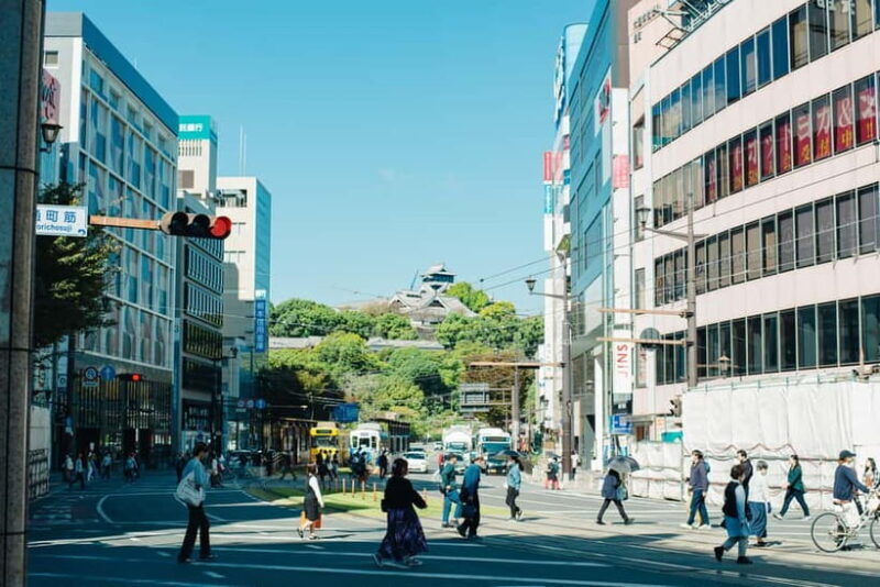 6-Hour Tour: Pick 2 Kumamoto Castle, Castle Town, Suizenji - Key Points
