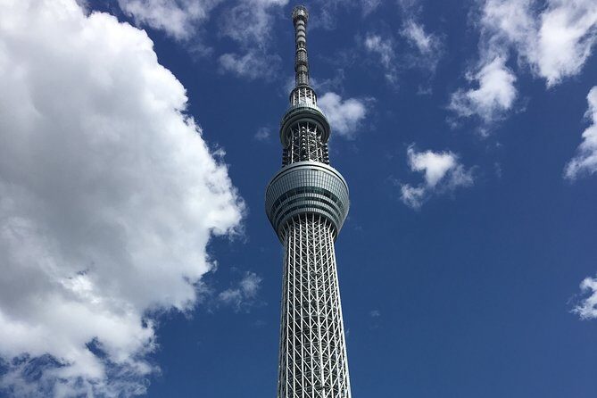 6-Hour-Tour Tokyo Highlights - Review Highlights and Traveler Insights