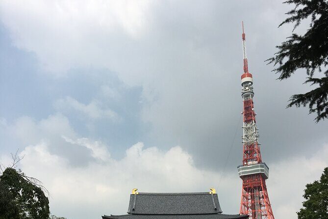 6-Hour-Tour Tokyo Highlights - Who Should Consider This Tour?