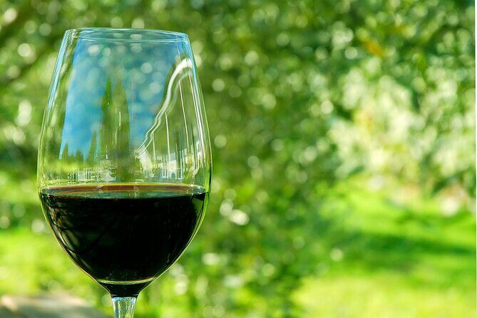 6 Hour Variety Wine Vineyard Tour in Napa Valley - Key Points