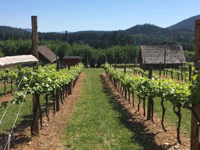 6-Hour Victoria to Cowichan Wine Tour - Key Points