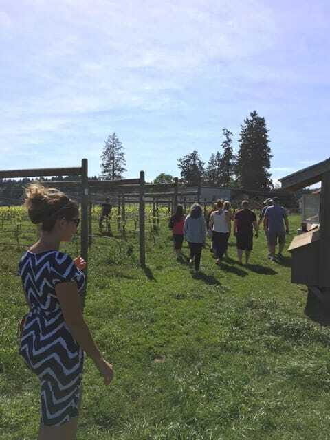 6-Hour Victoria to Cowichan Wine Tour - Transportation, Timing, and Group Size
