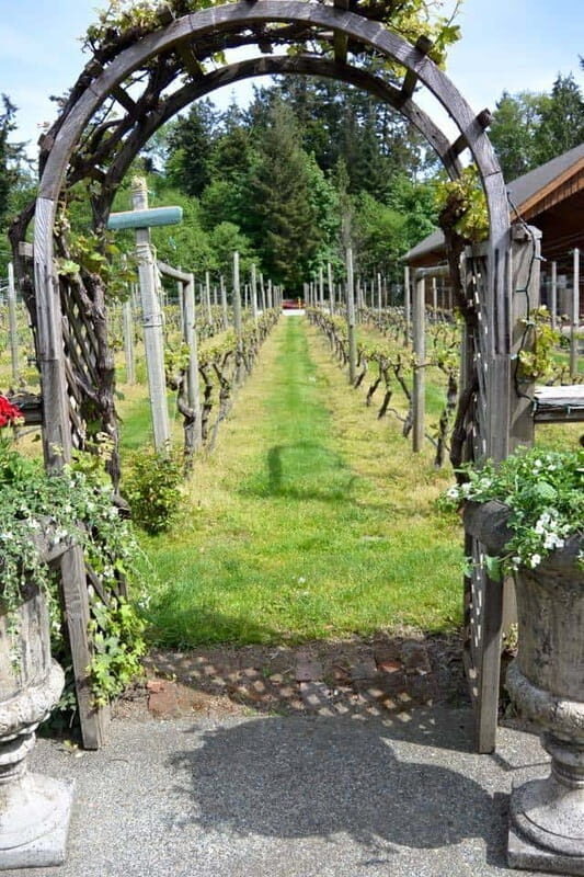 6-Hour Victoria to Cowichan Wine Tour - Value for Money: Is It Worth the Price?