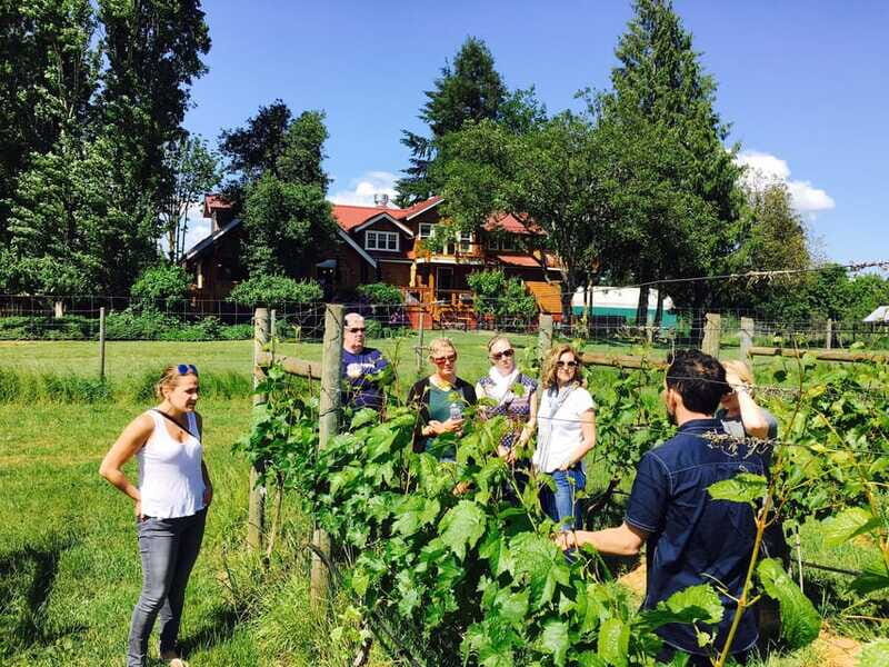 6-Hour Victoria to Cowichan Wine Tour - Flexibility and Practical Tips