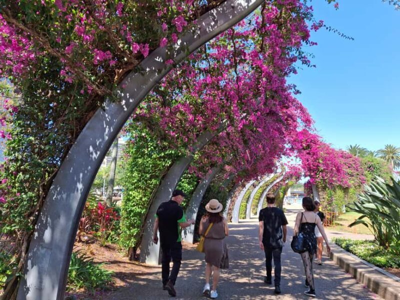6 Hour Welcome to Brisbane Private Sightseeing Private Tour - Why This Tour Is Worth the Cost