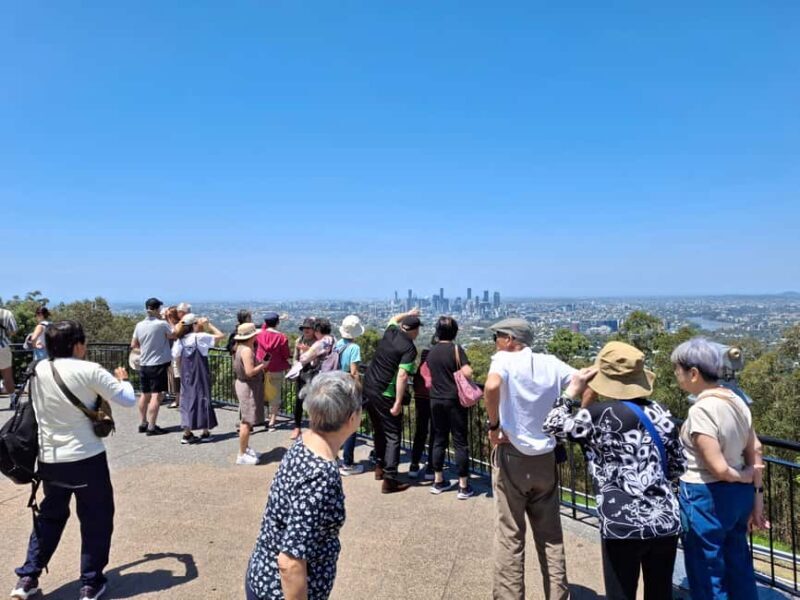 6 Hour Welcome to Brisbane Private Sightseeing Private Tour - A Closer Look at the Itinerary