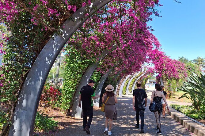 6 Hour Welcome to Brisbane Private Sightseeing Tour - An In-Depth Look at the Brisbane Private Sightseeing Experience
