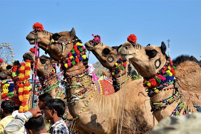 6-hours Delhi's temples & Gandhi's journey combo city tour - Who Should Consider This Tour?