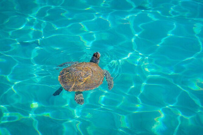 6 Hours Guided Beach Escape - Final Thoughts: Is This Tour for You?