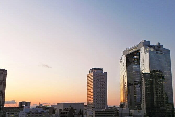 6 Hours Osaka Tour with National Licensed Guide - The Value of This Tour