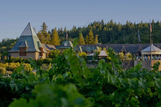 6 Hours Private Wine Tour in Healdsburg Featuring Coppola Winery - The Cost and What It Covers
