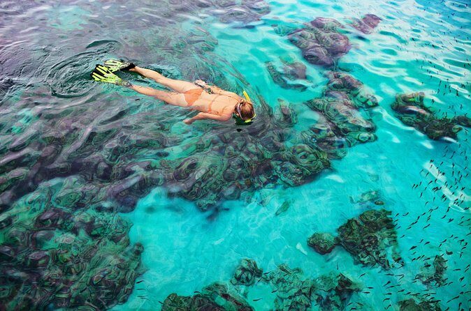 6 Hours Rose Island Tour with Snorkeling Experience and Lunch - FAQ