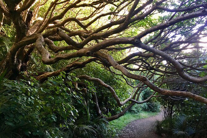6 Hours Sightseeing Tour in Auckland - Exploring Auckland’s Wild Side: A 6-Hour Small-Group Tour