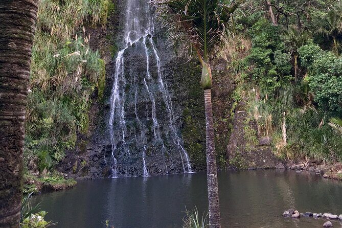 6 Hours Sightseeing Tour in Auckland - Why This Tour is a Solid Choice