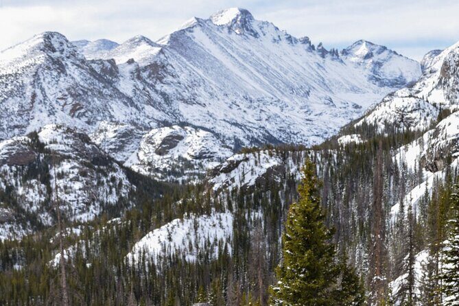 6 hr Private Wildlife Hiking Tour in Rocky Mountain National Park - Who Is This Tour Best For?