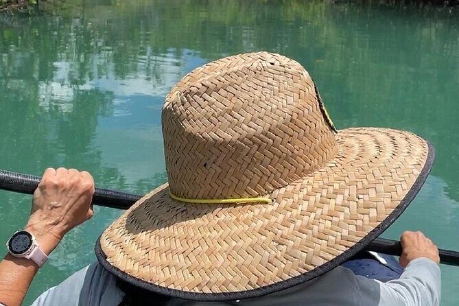6-Hr Tropical Mangroves, Coastal River and Ocean Wildlife Watch - The Itinerary: A Step-by-Step Breakdown