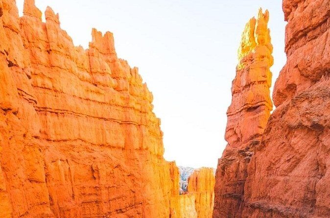 6 Night Yellowstone, Zion, and Bryce Vacation with lodging - The Sum Up: Is This Tour Worth It?