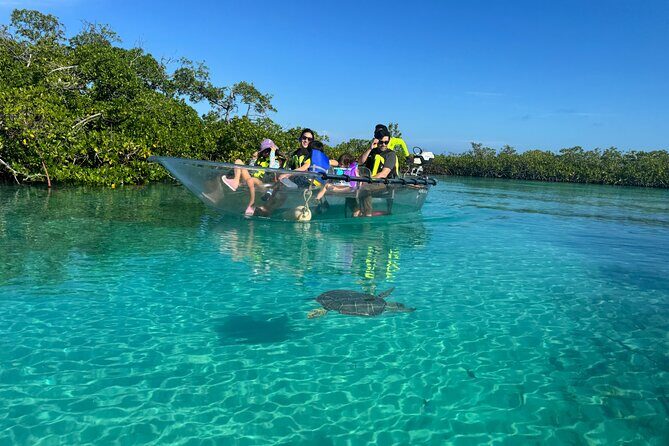 6-Passenger Motorized Clear Kayak Mangrove Tour in Providenciales - Authentic Reviews and What Travelers Say