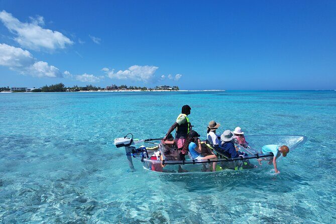 6-Passenger Motorized Clear Kayak Mangrove Tour in Providenciales - The Value of This Tour