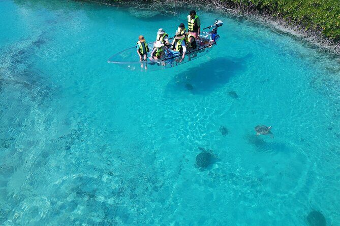6-Passenger Motorized Clear Kayak Mangrove Tour in Providenciales - Who Would Love This Tour?