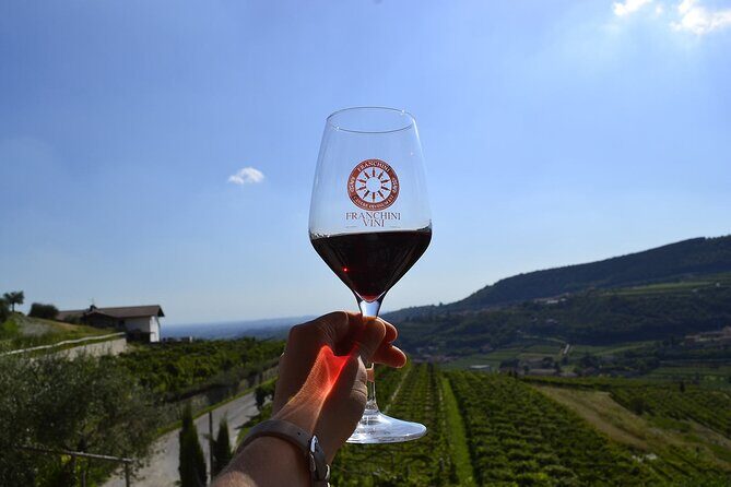 6 Wine Tasting in Valpolicella Classica: the cradle of Amarone - Who Should Book This Tour?