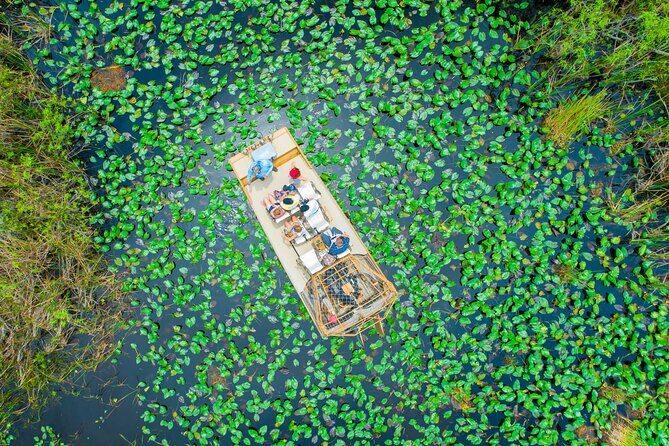 60 min. Everglades Airboat ride & pick-up ,small group +pro guide - Analyzing the Tour Experience: what to Expect