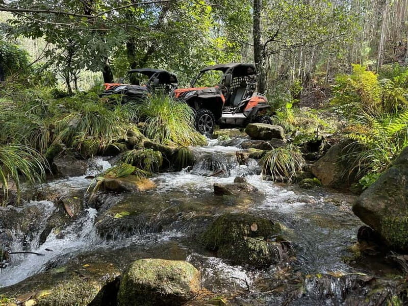 60-minute Buggy Tour - The Value of This Experience