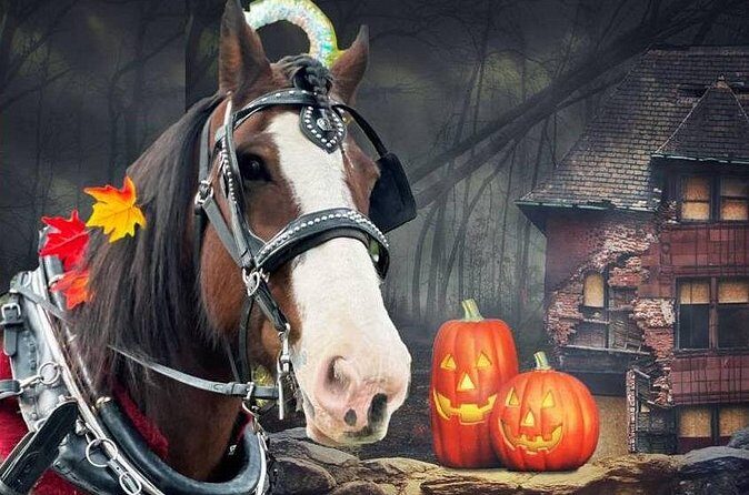 60-minute Haunted Halloween Tour - Who Will Love This Haunted Carriage Tour?