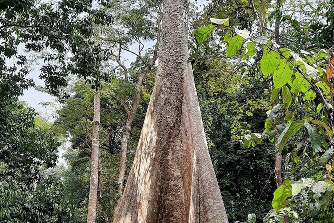 6D/5N Offbeat Walking Holiday in South and Middle Andamans - A Deep Dive into the Itinerary